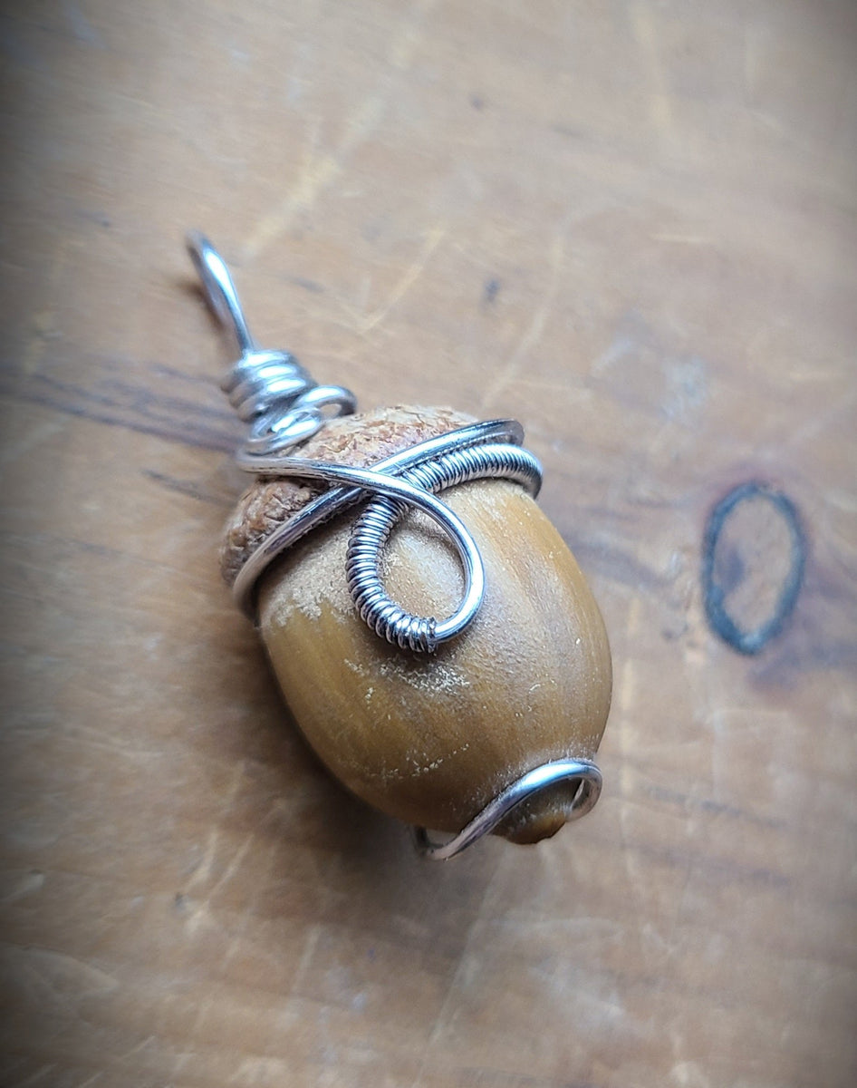 Acorn - Witch’s Chamber – Witch's Chamber